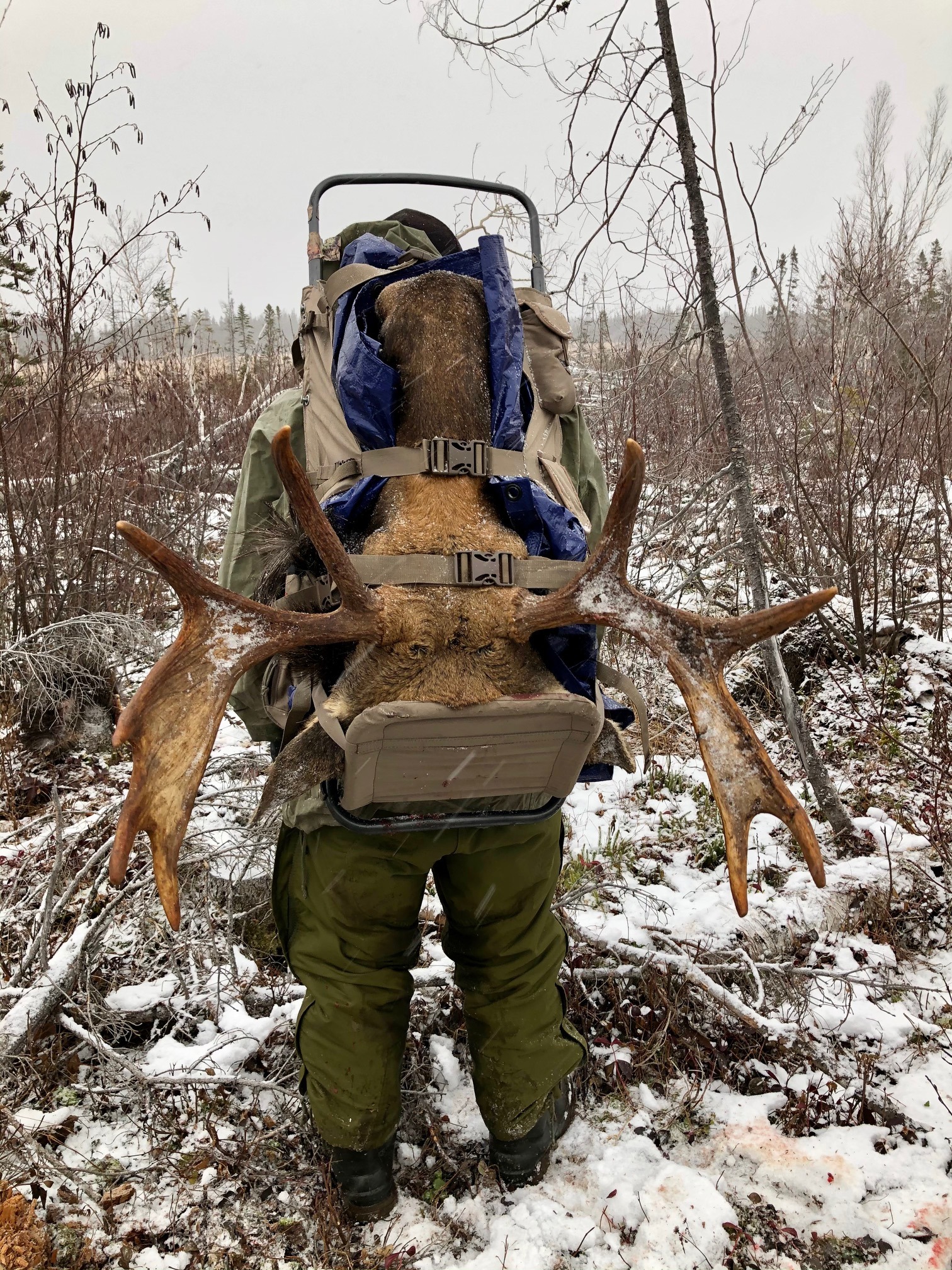 Local Food » Happy Adventure Inn